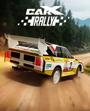 games.discription_rally